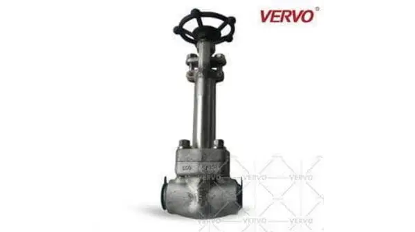 Solid Gate Valve, 1 IN, DN25, PN160, 900 LB, F304, SW | Vervo