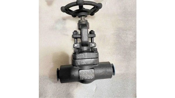 CT20 Gate Valve, DN15, PN25, BS 5352, Bolted Bonnet, BW | Vervo