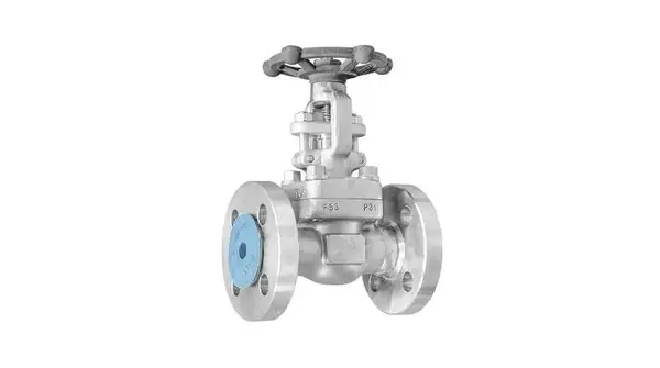 DSS ASTM A182 F53 Gate Valve, ISO 15761, DN25, PN25, RF | Vervo