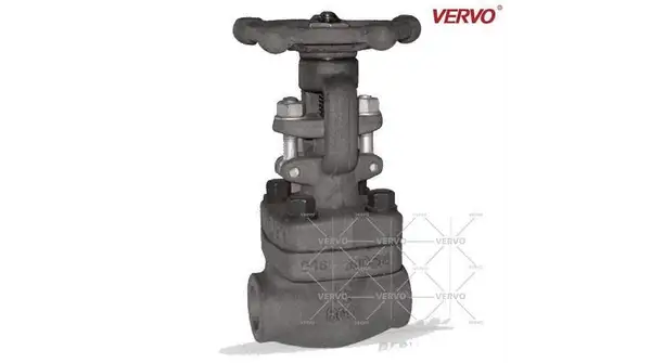 Solid Wedge Gate Valve, ASTM A105N, 1/2 Inch, 800 LB, SW | Vervo