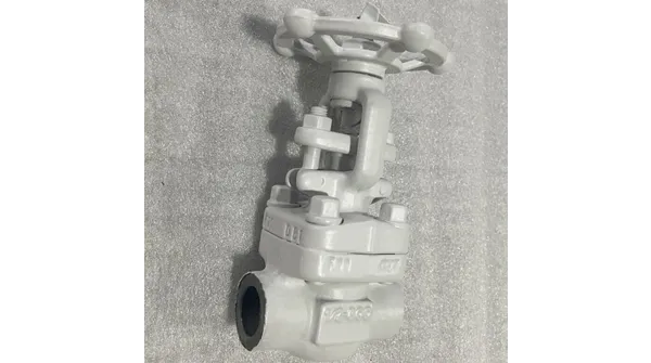 API 602 ASTM A182 F11 Gate Valves, 12 Inch, Class 800, NPT-F | Vervo