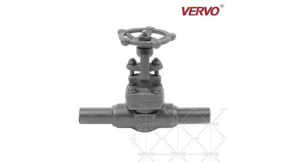 Extended Body Gate Valve, API 602, A105N, 3/4 Inch, 800 LB | Vervo
