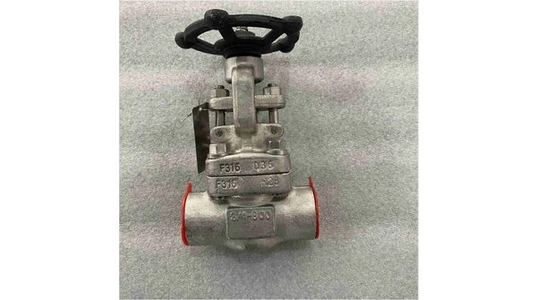 ASTM A182 F316 Gate Valve, 3/4 IN, CL800, API 602, NPT, Bolted Bonnet ...