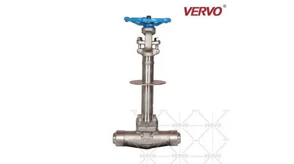 ASTM A182 F304L Cryogenic Gate Valve, API 602, BS 6364 | Vervo