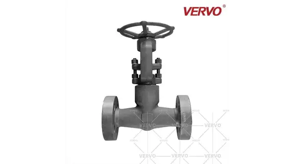 PSB OS&Y Gate Valve, 1 Inch, 2500 LB, ASTM A105N, RTJ | Vervo