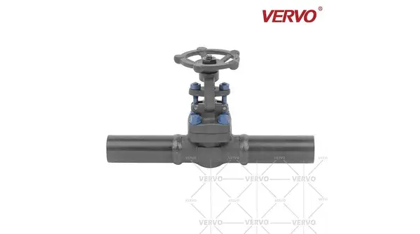 ASTM A350 LF2 Gate Valve, Extended Body, 1 Inch, 800 LB | Vervo