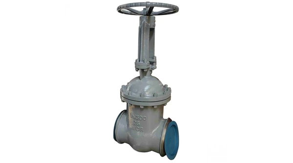 Double Wedge Gate Valve, DN300, PN25, ASTM A216 WCB, RF | Vervo