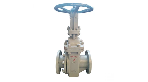 Tungsten Carbide Scum Gate Valve, WCB, DN100, PN16, RF | Vervo