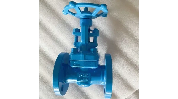 Low Temperature Gate Valve, CL150, 1 IN, A105N, API 602 | Vervo