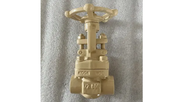 API 602 Carbon Steel Gate Valve, BB, 800 LB, 1/2 IN, A105N | Vervo