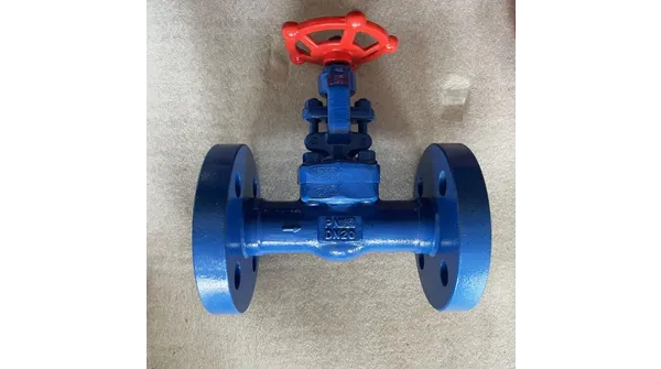 Carbon Steel ASTM A350 LF2 Globe Valve, ISO 15761, PN63, DN20 | Vervo