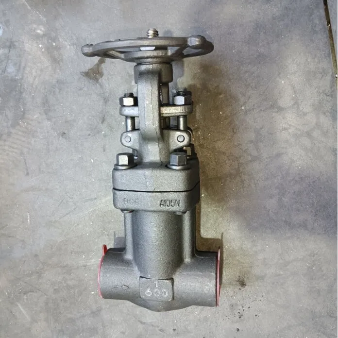 ASTM A105N Bellows Globe Valve, 600 LB, 1 Inch, API 602, BB - Vervo