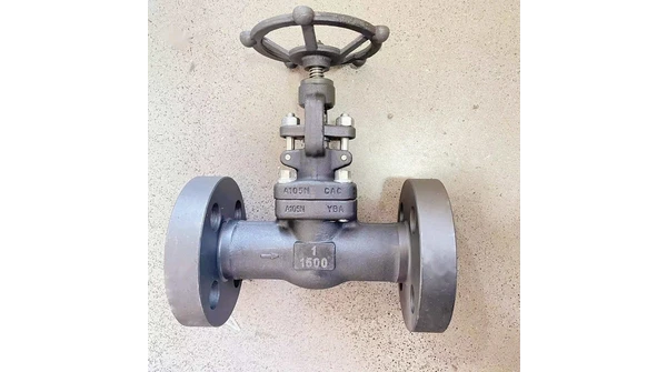 API 602 Globe Valve, 1 Inch, 1500 LB, ASTM A105N, RF Flanged | Vervo