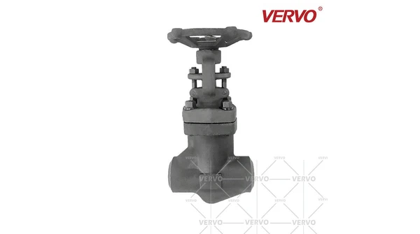 Bellow Sealed Steam Globe Valve, ASTM A105N, DN40, PN40 | Vervo