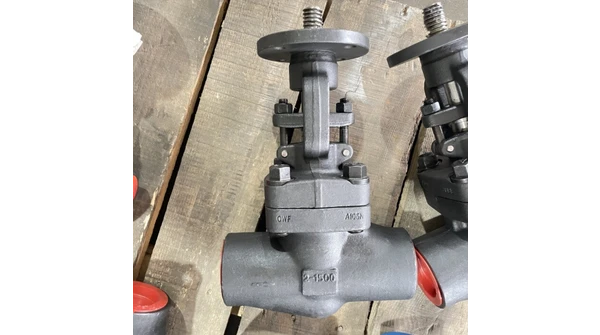 ASTM A105N Reduced Bore Globe Valve, 2 Inch, 1500 LB, API 602 | Vervo