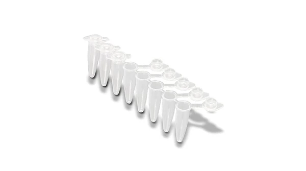 Dome Cap 8-Strip PCR Tubes, RNAse/DNAse Free, PP, 0.2 mL | Pulse