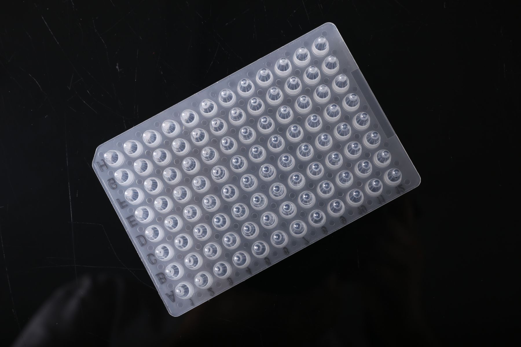 0.1ml PP Plastic PCR Plates, Transparent, Raised Rim - Pulse