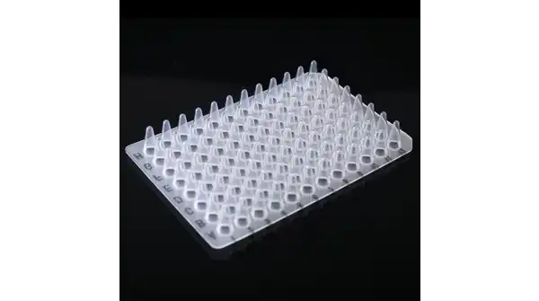 0.1ml PP Plastic PCR Plates, Transparent, Raised Rim | Pulse