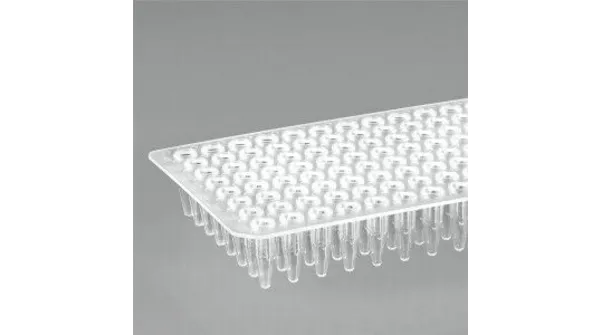 PP Plastic PCR Plates, 0.2 mL, Non-Skirted, Autoclavable | Pulse
