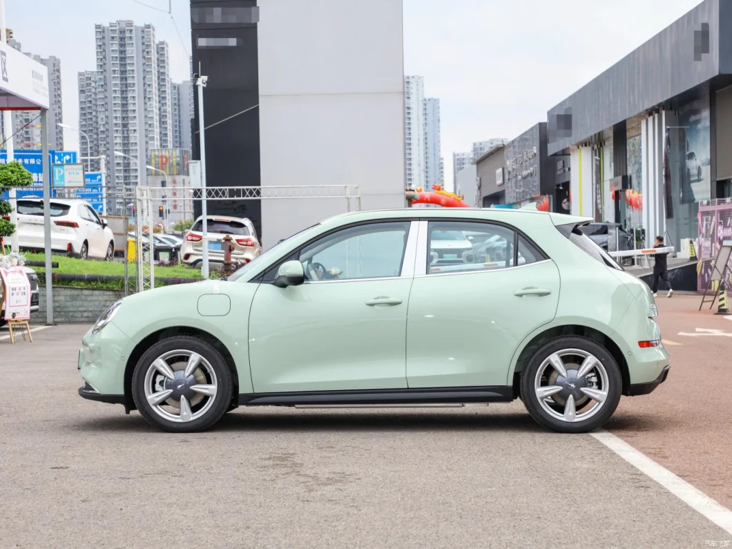 2023 New Energy Ora Good Mini Car with Good Looking Smart EV 400km Cars ...