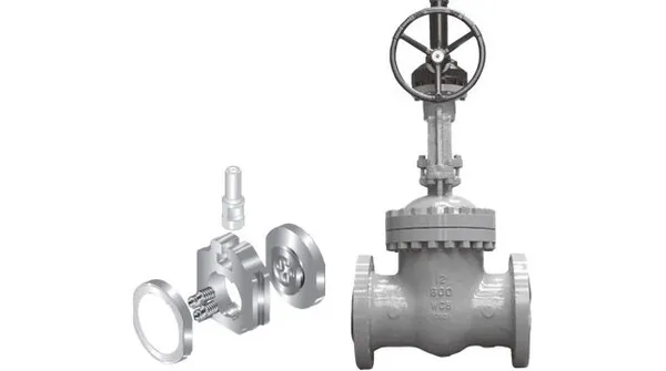 The Functionality of Spring Type Parallel Double Gate Valves | Bosseal