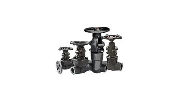 API Standard Valves: Overview and Applications | Bosseal