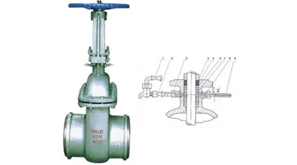 Water-Sealed Gate Valves: Structure and Principles | Bosseal