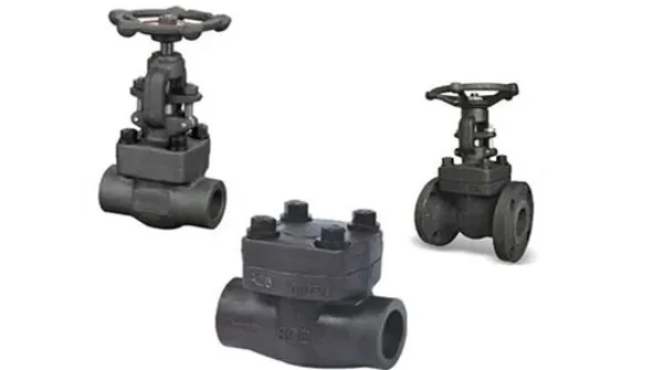 Forged Steel Gate Valves in High-Temp, High-Pressure Applications | Bosseal