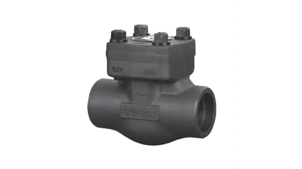 API 602 Piston Check Valve,ASTM A105N,1/2 Inch,300 LB | Bosseal