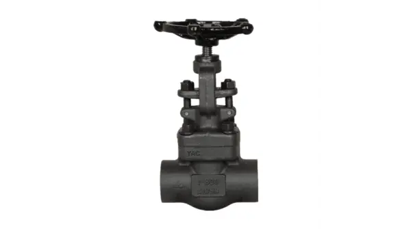 API 602 Globe Valve,ASTM A105N,1/2 Inch,800 LB | Bosseal