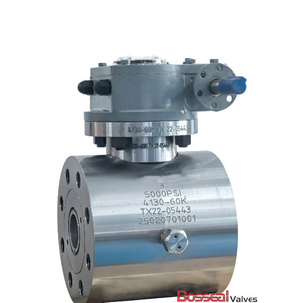 2500 PSI Ball Valve, API 6A, F60/F65, Metal Seated, RTJ/BW | Bosseal