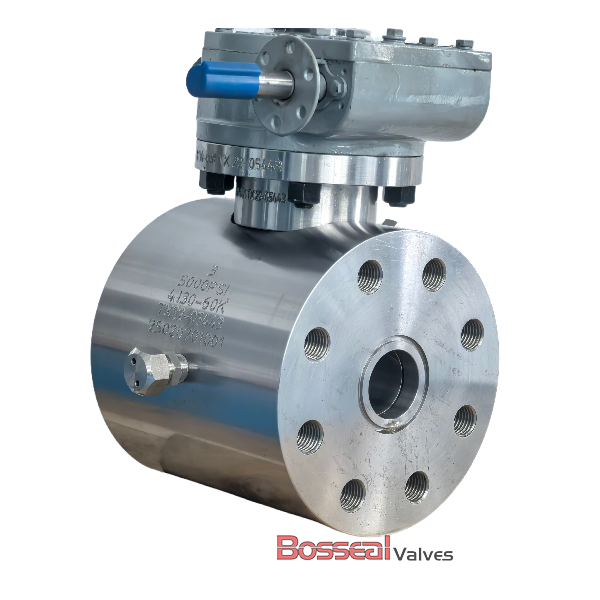 API 6D Forged Ball Valves, A694 F60/F65, 5-1/8 IN, 2500 PSI | Bosseal