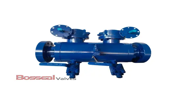 Double Block & Bleed Ball Valve, A182 F304 Body & Trim, 40 IN | Bosseal
