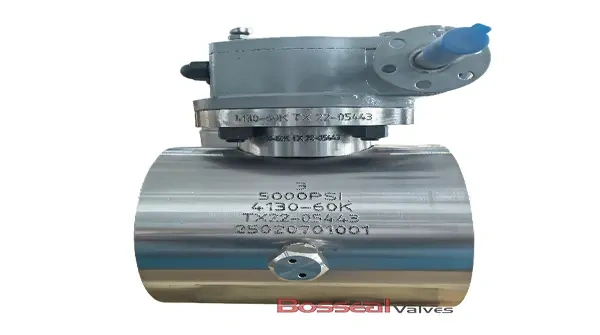 ASTM A694 F65 Ball Valve, API 6A, Soft Seated, 6 Inches, BW | Bosseal