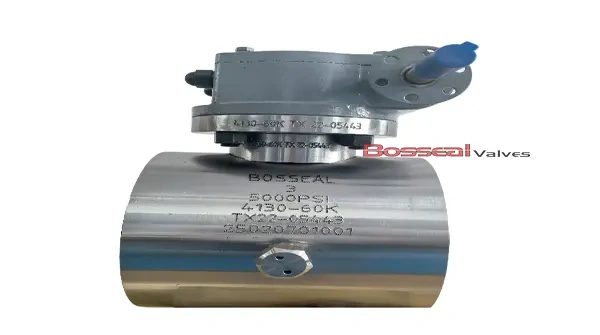 ASTM A694 F60 Ball Valve, API 6D, 2-9/16 IN, 2500 PSI, BW | Bosseal