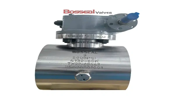 ASTM A694 F60 Ball Valves, API 6A, 17-4PH Trim, 7-1/16 Inches | Bosseal