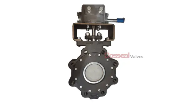 API 609 B Lug Butterfly Valve, ASTM A216 WCB, 150 LB, 2 IN - Bosseal