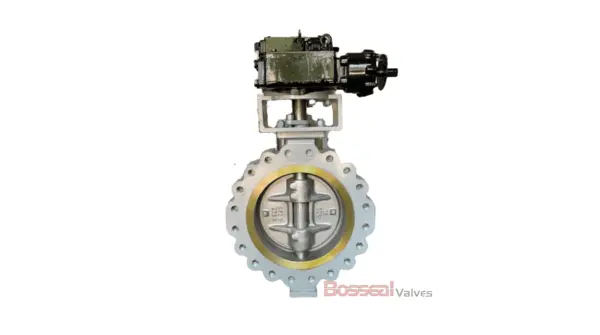 Duplex Stainless Steel Butterfly Valve, A890 5A, 10 IN, CL300 | Bosseal