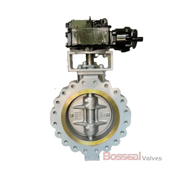 Duplex Stainless Steel Butterfly Valve, A890 5A, 10 IN, CL300 - Bosseal