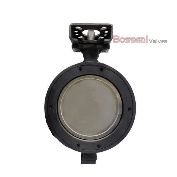 RPTFE Seated Butterfly Valve, B148 C95800, 42 IN, 300 LB - Bosseal