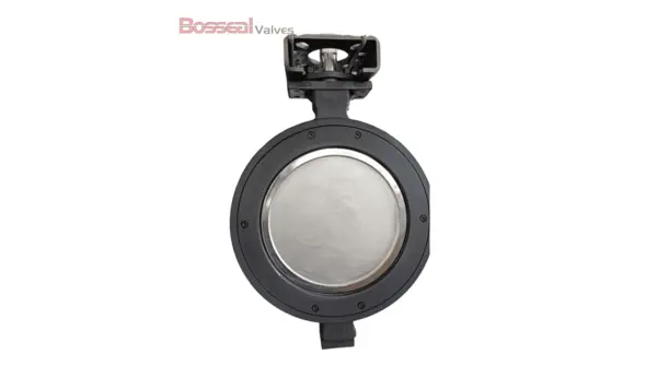 ASTM A890 4A Butterfly Valve, 4 Inch, 300 LB, Double Offset | Bosseal