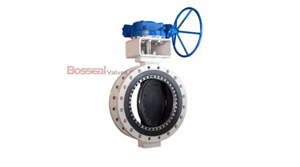 RPTFE Seated Butterfly Valve, Titanium, 2-1/2 IN, CL 300 LB | Bosseal