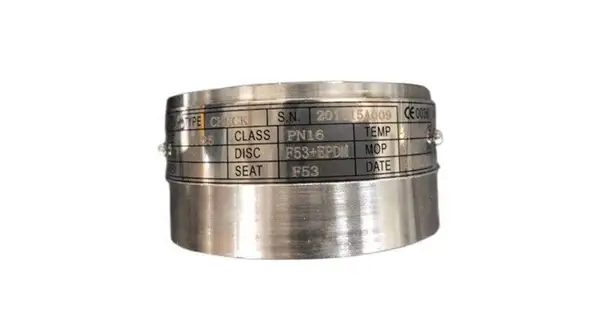 ASTM A995 5A Non Return Valve, 1 Inch, 150 LB, API 594 - Bosseal