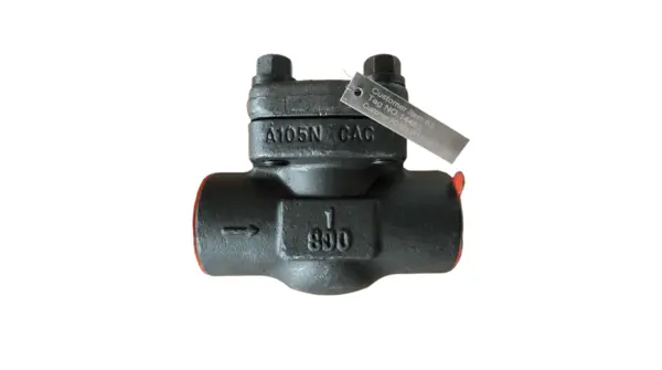 Bolted Bonnet Piston Check Valve, 1 Inch, 800 LB, API 602 | Bosseal