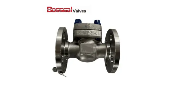 ASTM A182 F51 Swing Check Valve, 2 Inch, 150 LB, API 602, RF | Bosseal