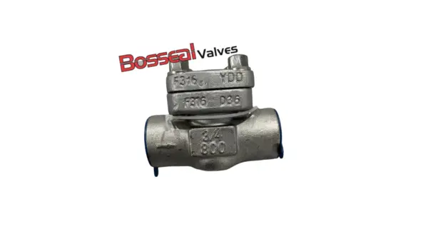 API 602 Piston Check Valve, F316, 3/4 Inch, 800 LB, SW, NPT | Bosseal
