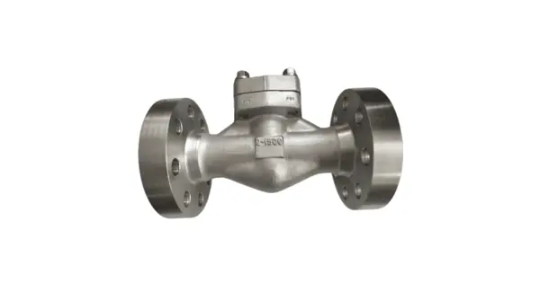 ASTM A182 F51 Swing Check Valve, API 602, 2 Inch, 1500 LB | Bosseal