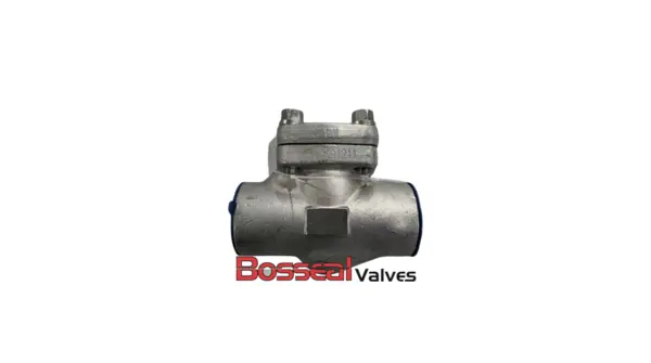 ASME B16.34 Piston Check Valve, 1/2IN, CL800, ASTM A182 F316 | Bosseal