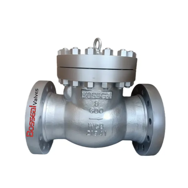 China Check Valves Manufacturer - Bosseal