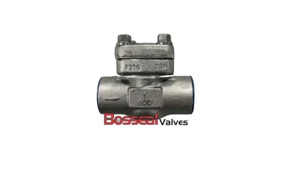 ASTM A182 F316 Piston Check Valve, 1 Inch, 800 LB, API 602 | Bosseal